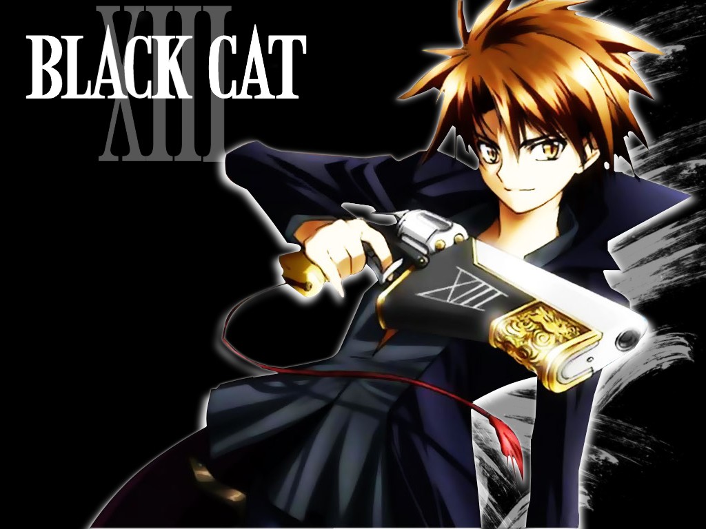 Black Cat :: Animeida